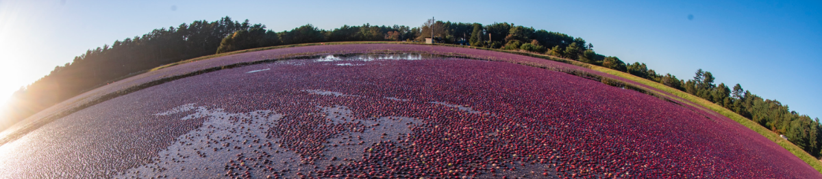 Conservation Districts Massachusetts Association Of Conservation